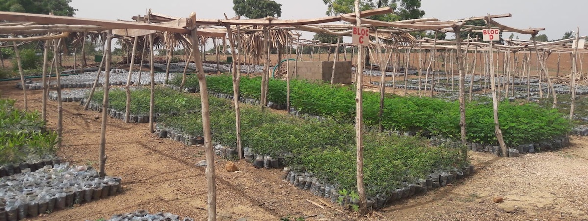 climate_change_main | Global Alliance for Community Empowerment